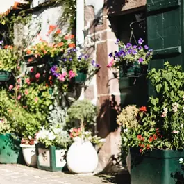 Le col de Roncevaux, mythique sur le chemin de Compostelle
